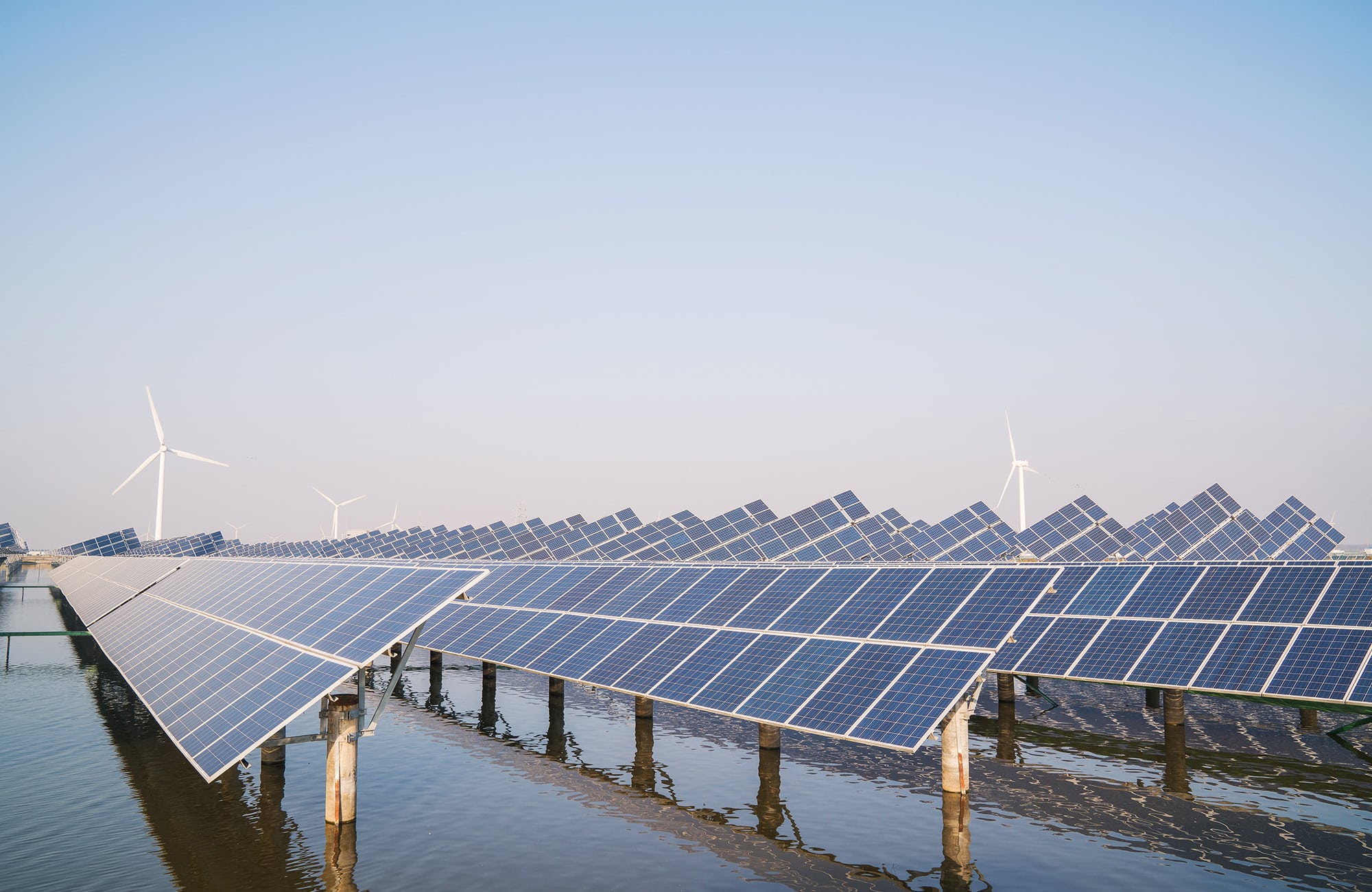 5 Tips for Recruiting Top Talent in Renewable Energy